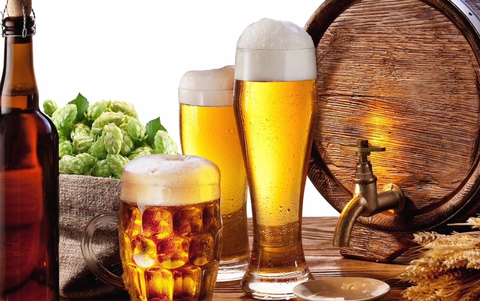 Beers Similar to Modelo - BrewingCrafter