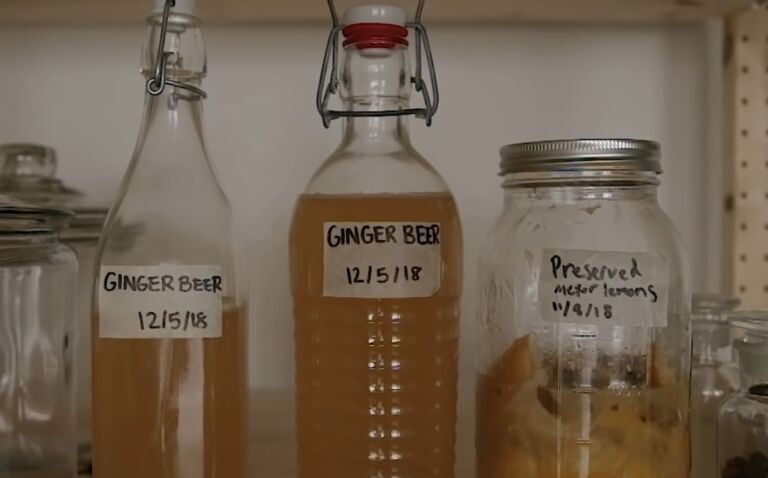 Can Beer Get Moldy? - BrewingCrafter