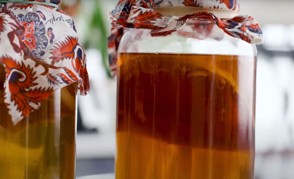 How to Know When Kombucha Is Ready? - BrewingCrafter