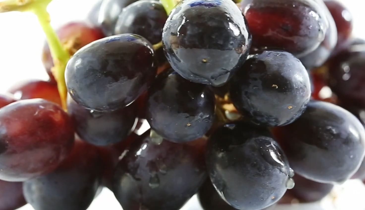 Mead vs. Cider: What’s the Difference? - BrewingCrafter
