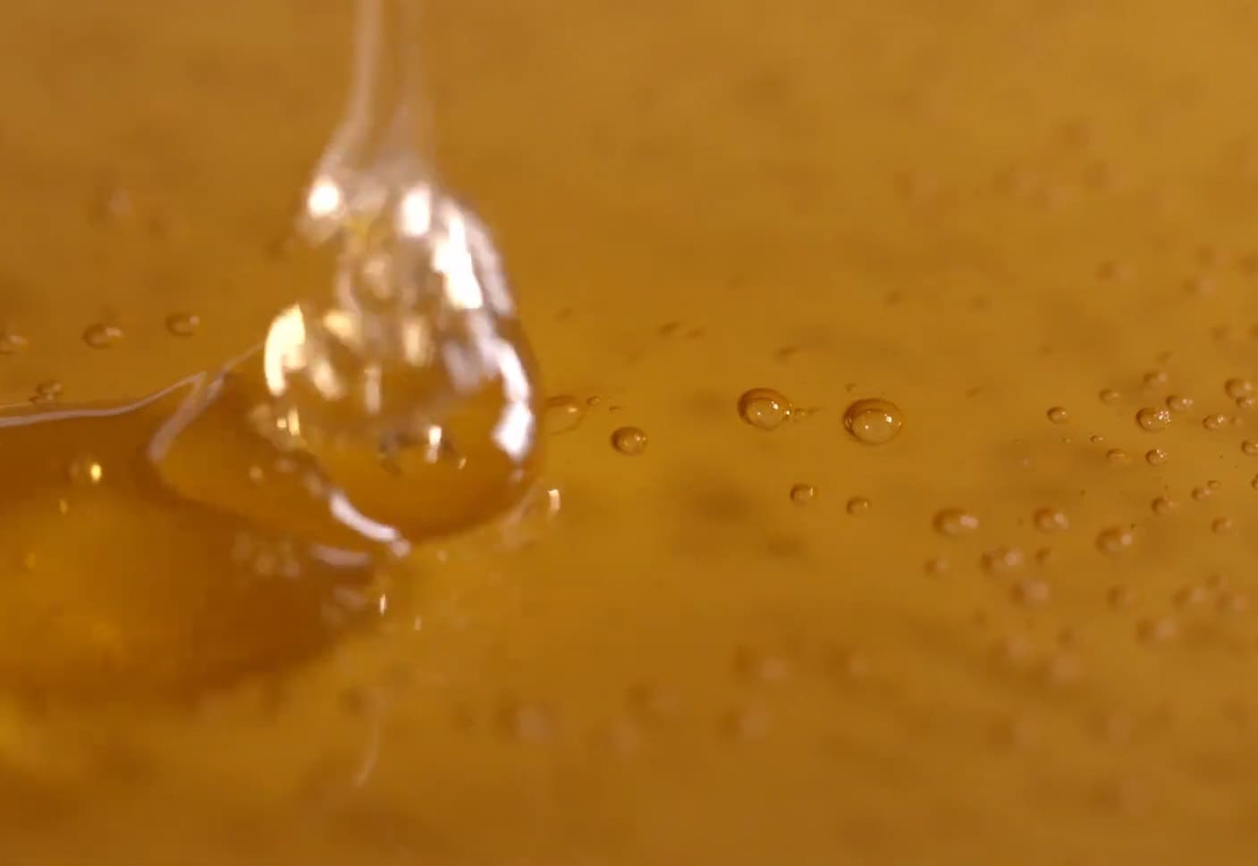 Mead vs. Cider: What’s the Difference? - BrewingCrafter