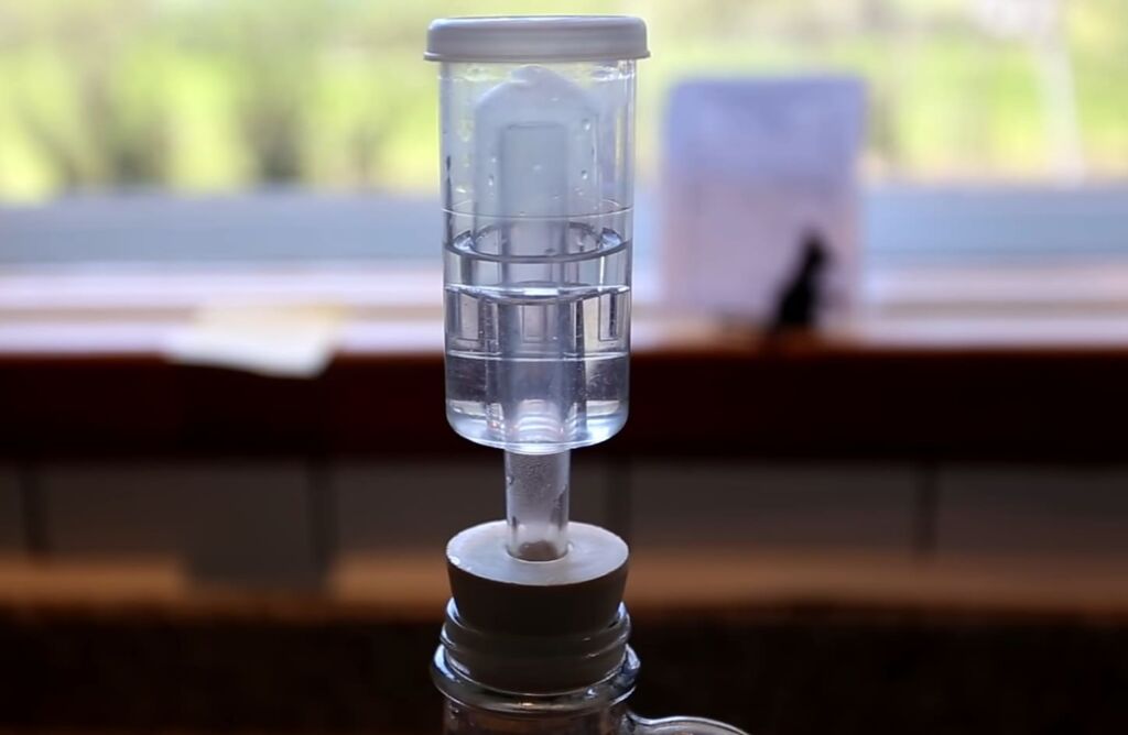 Does Yeast Need Oxygen to Ferment? - BrewingCrafter