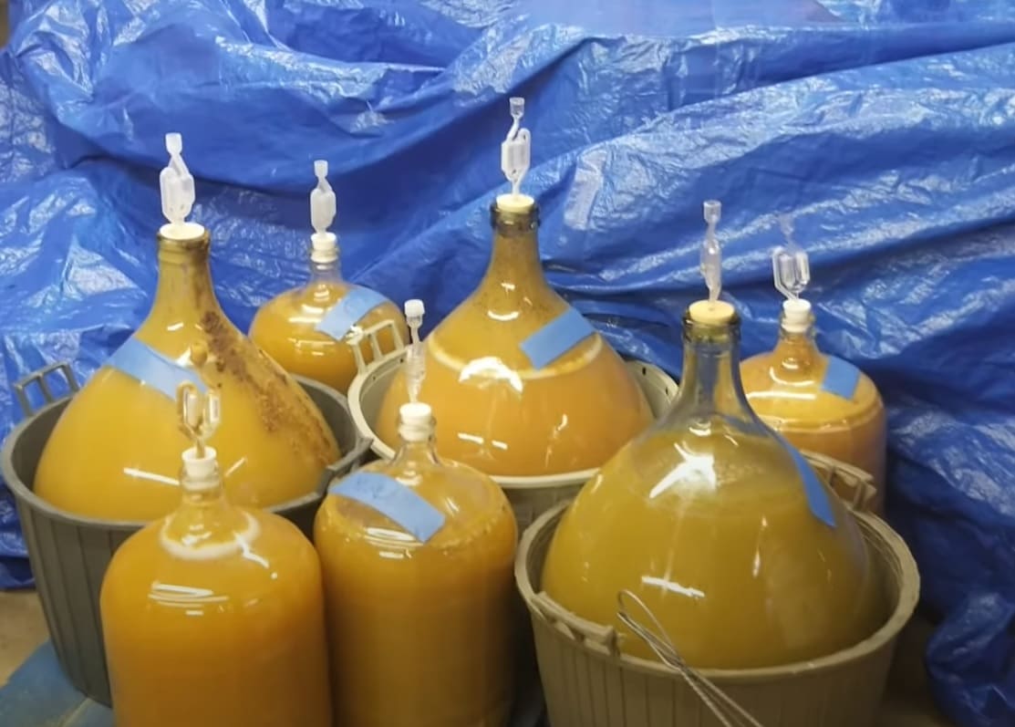 What Is Fermaid O? - BrewingCrafter